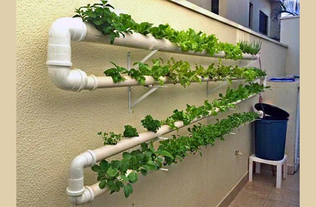 Como fazer Hidroponia Vertical PVC